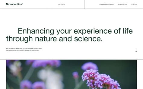 Natroceutics Website No Code Supply Co