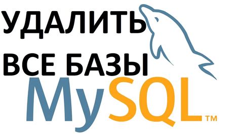 Как удалить все базы данных в Mysql Youtube
