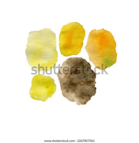 Watercolor Simple Abstract Blobs Clip Art Stock Illustration 2267857561 Shutterstock