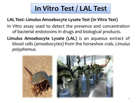 Expt 9 Test For Pyrogens Rabbit Method Pdf Chemistry Science