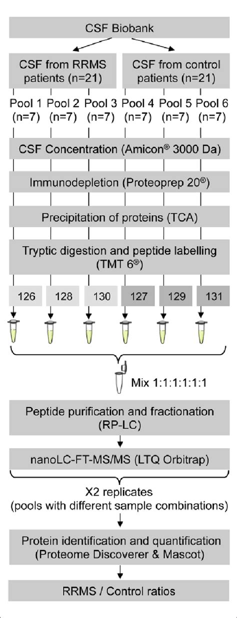 Schematic Representation Of The Workflow Used In The Study CSF Download Scientific Diagram