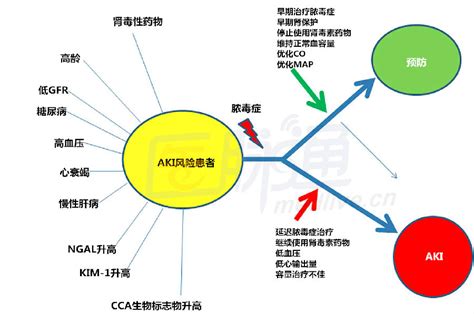 【脓毒症aki发病机制和防治新进展】 中华医学网