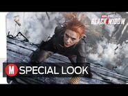 Black Widow Film Marvel Filme Wiki Fandom