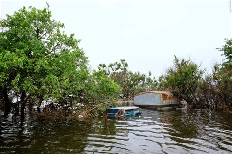 Всесвітній день охорони навколишнього середовища про злочини проти довкілля України