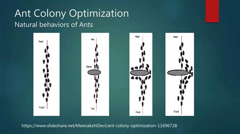Travelling And Salesman Problem Using Ant Colony Optimization Pptx