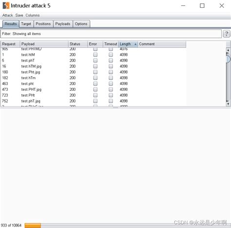 文件上传绕过waf之fuzz测试fuzz下载 Csdn博客