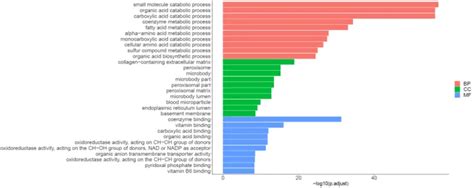☞go和kegg富集倍数（fold Enrichment）如何计算 Enrich Factor Qvalue Csdn博客