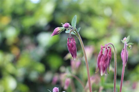 40000 Free Granny Love And Love Photos Pixabay