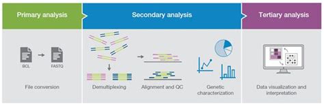 Learn More About Available Bioinformatics Tools And Pipelines To