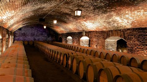 Concha Y Toro Winery In Santiago Tours And Activities Expediaca