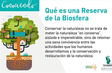 Reservas De La Biosfera Definición Y Ejemplos Eco360