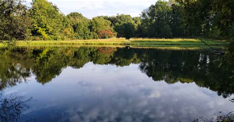 Locals Are Keeping This Breathtaking State Park In Illinois All To