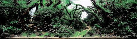 Top 100 Iaplc 2013 ~ Igorvarnic Md