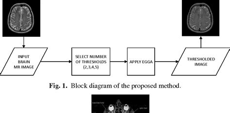 Figure 1 From An Evolutionary Gray Gradient Algorithm For Multilevel