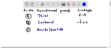 Solved Identify The Circled Functional Groups And Linkages In The Compound Below