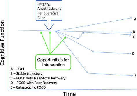 Potential Cognitive Trajectories Following Surgery Download Scientific Diagram