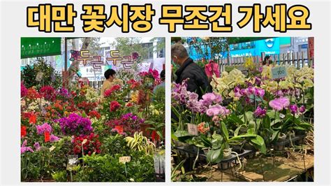 네이버 인플루언서