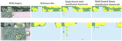 Remote Sensing Free Full Text Efficient Wheat Lodging Detection Using Uav Remote Sensing