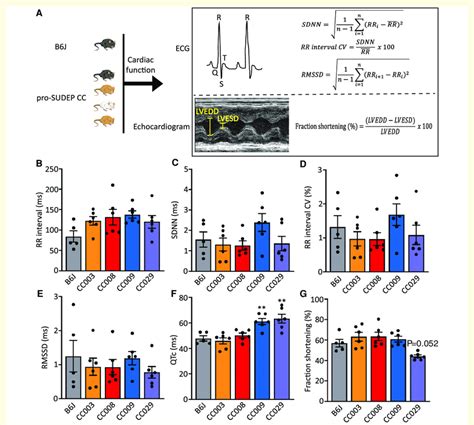 Cardiac Characterization Of Pro Sudep Cc Strains A Schematic Of
