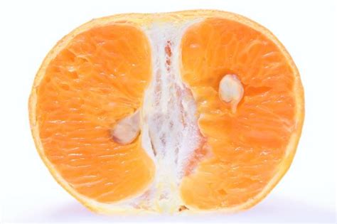 오렌지 과일 단면 사진 오늘의짤방