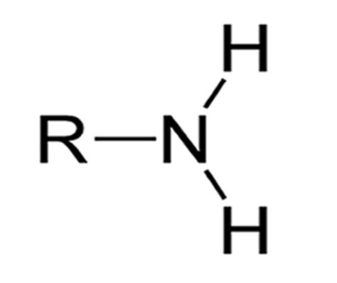 Biochem Functional Groups Flashcards Quizlet