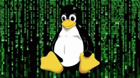 Critical Rce Flaw In Ppp Daemon Threatens Linux Systems