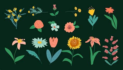 Premium Vector A Collection Of Botanical Elements Of Flowering Plants