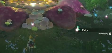 塞尔达小精灵怎么收集 塞尔达小精灵收集方法 梦幻手游网