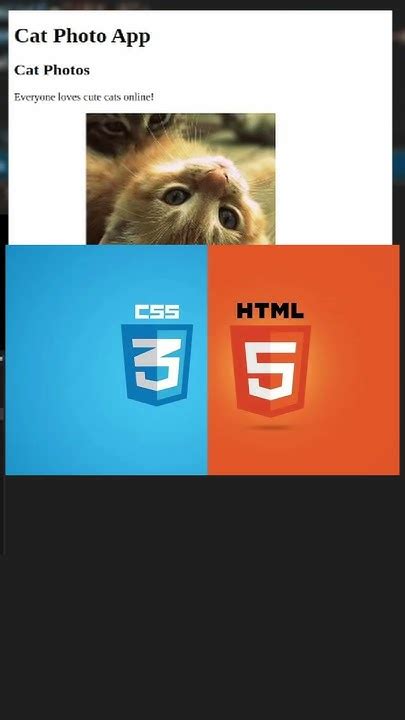 Day 23 30 Day Coding Challenge Softwareengineer Coding Code Javascriptcoding Visualart