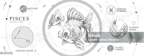 점성술 물고기자리 조디악 기호현대 마법 마술 카드 사실적인 손 그리기 잉어 피쉬 일러스트 조디악 특성 고풍스런에 대한 스톡 벡터 아트 및 기타 이미지 Istock