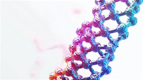 Educational Diagram Explaining The Stages Of Dna Replication In Cells Premium Ai Generated Image