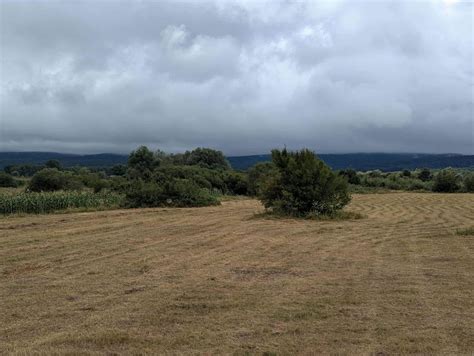 სოფლის სახლების ყიდვა გაყიდვა 🏠 Facebook