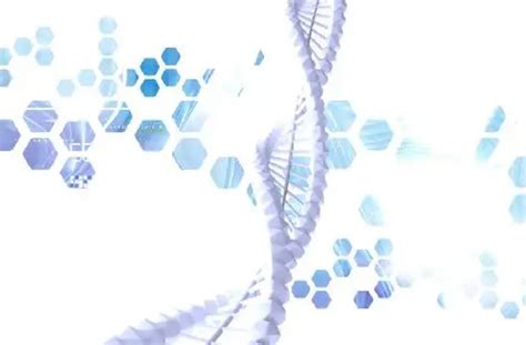 Development Trend Of Molecular Diagnostic Technology Gzmed