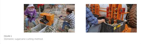 Figure 1 From Sugarcane Stem Node Detection And Localization For Cutting Using Deep Learning