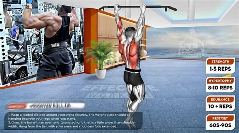 6 Лучших упражнений для тренировки нижних широчайших мышц спины Смотреть онлайн в поиске