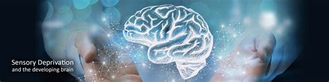 Sensory Deprivation And The Developing Brain Touch The Future