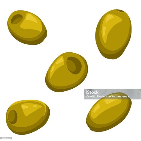 녹색 올리브 세트 벡터 일러스트 레이 션 지중해 올리브 과일은 흰색 배경에 고립되어 있습니다 손으로 그린 간단한 음식 예술 포장 스티커 인쇄 개체 그룹에 대한 스톡 벡터