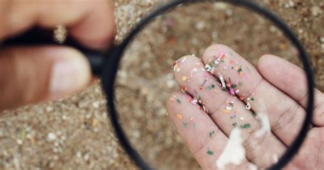 Dangers Of Microplastics In Humans Food And The Environment