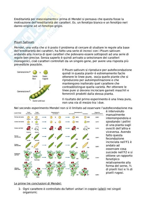Appunti Di Genetica Su Tutto Il Programma
