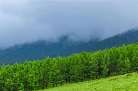 What Are The Climate Types All Climate Types In The World