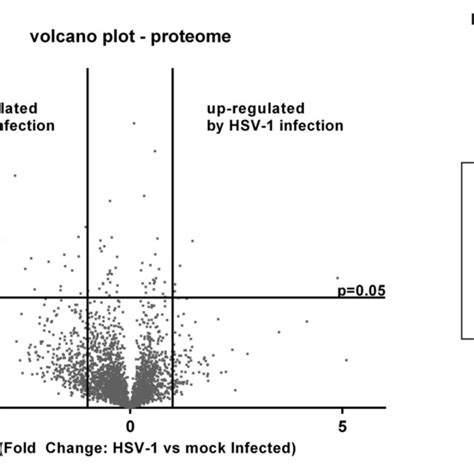 Mass Spectrometry Analysis Of The Pelleted Cells Proteome A