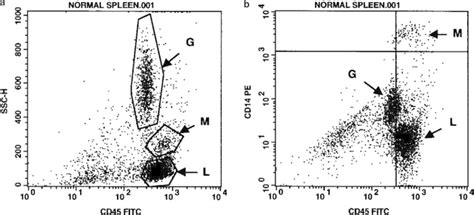 Gating Of Human Spleen Lymphocytes A Lymphocytes L Monocytes M