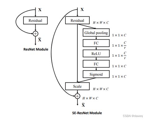 学习se Net和sk Net 附网络简单代码pytorch Csdn博客
