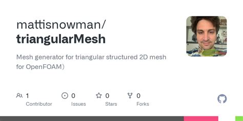 Github Mattisnowmantriangularmesh Mesh Generator For Triangular Structured 2d Mesh For Openfoam