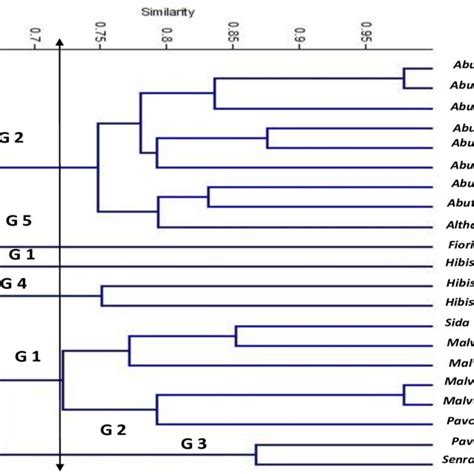 Upgma Phenogram Viewing The Genetic Diversity Of The 21 Species Of Download Scientific Diagram