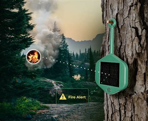 Pioneering The Digital Forest For Wildfire Prevention