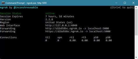controlling raspberry pi using alexa