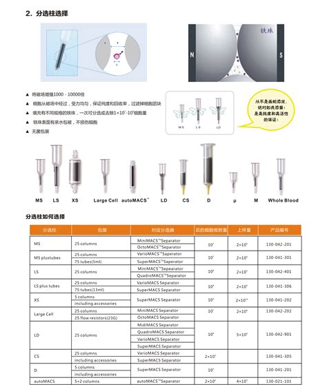 磁珠分类分选柱选择分选器选择