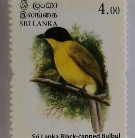 මුද්දර මිලදි ගන්න විකුණගන්න තැනක්