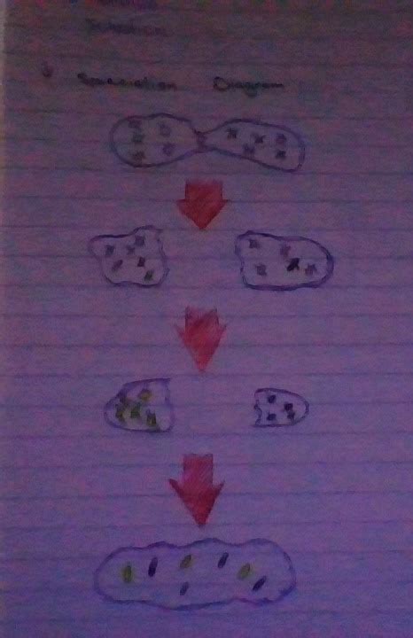 Diagram Of Living Bio Evolution Quizlet